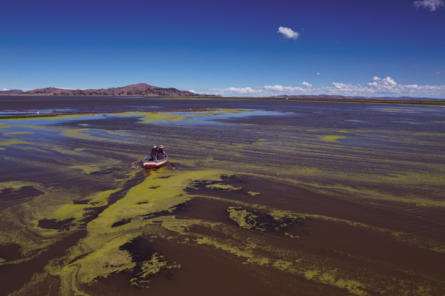 Lago Titicaca, la cloaca de Puno | Convoca